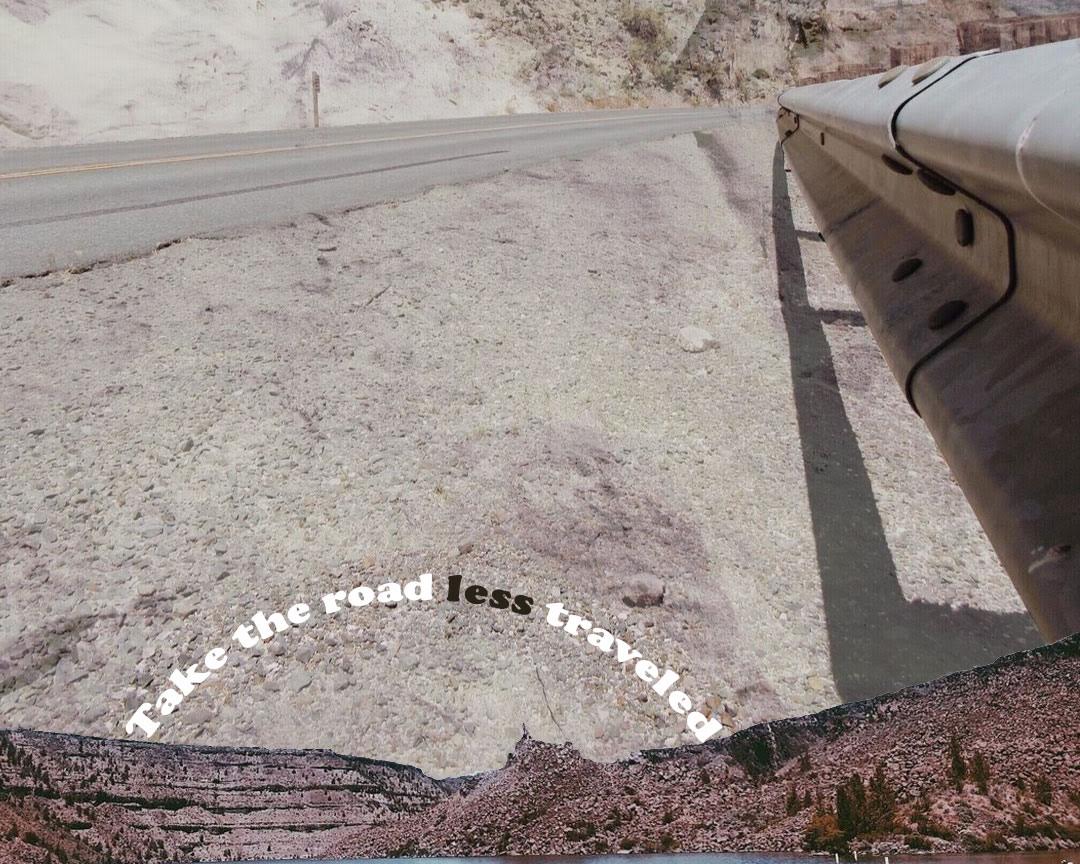 Final Graphic Design – Paradicing